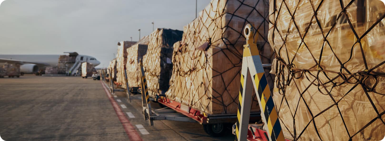The Maman Automatic Sorting Center